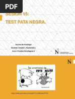 Protocolo - Interpretacion Del Test Pata Negra | PDF | Complejo de ...