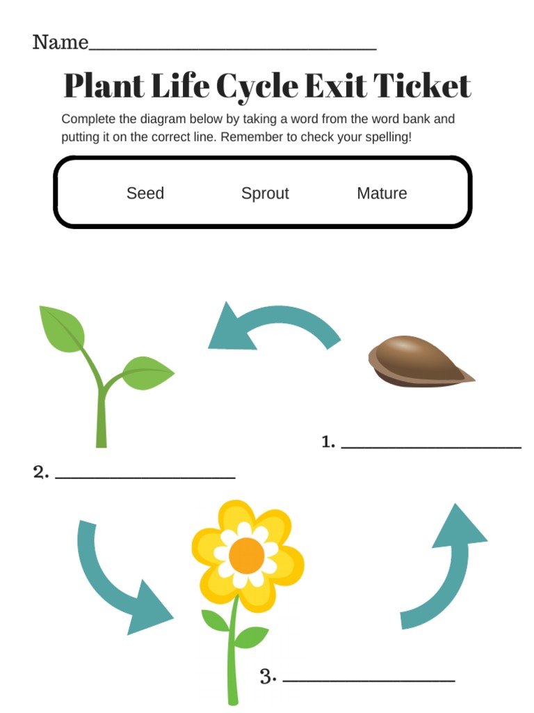Exit Ticket Lifecycle | PDF