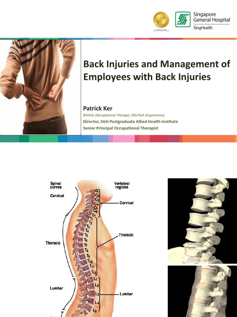 Ergonomic Issues in Workplace | PDF | Physical Therapy | Medical ...