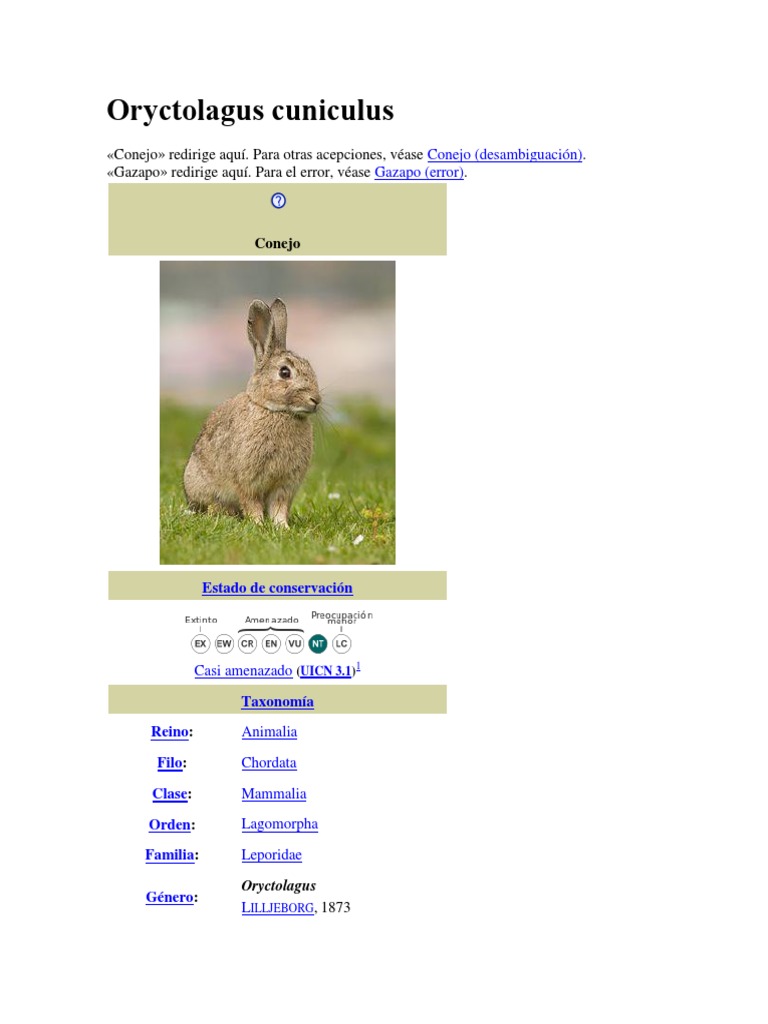 Oryctolagus Cuniculus | PDF | Naturaleza | Alimentos