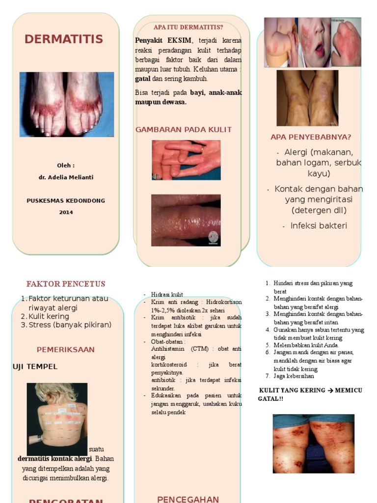 Leaflet Dermatitis Pdf