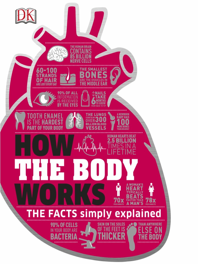 How The Body Works | PDF | Cell (Biology) | Tissue (Biology)