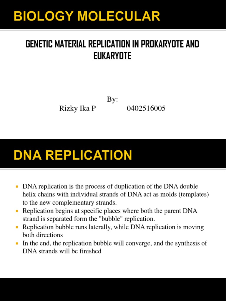 5 Replikasi Dna 1 - Rizky | PDF | Dna Replication | Primer (Molecular Biology)
