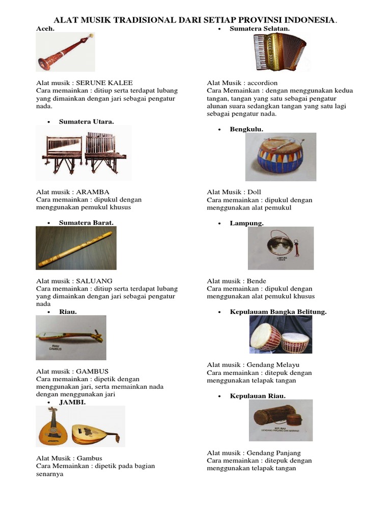 Alat Musik Tradisional Dari Setiap Provinsi Indonesia | PDF