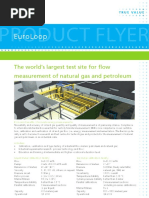 Presentation Euroloop Facility | PDF | Flow Measurement | Calibration