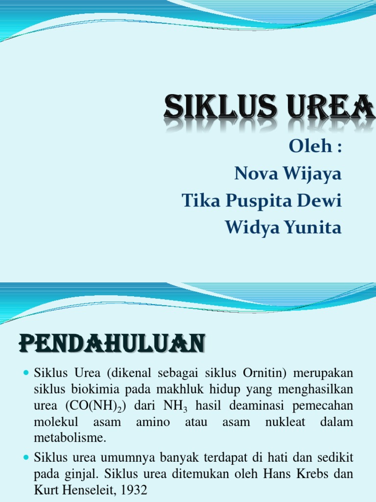 Siklus Urea | PDF