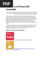 Ensayo Agenda 2030 | PDF | Sustentabilidad | Desarrollo sostenible