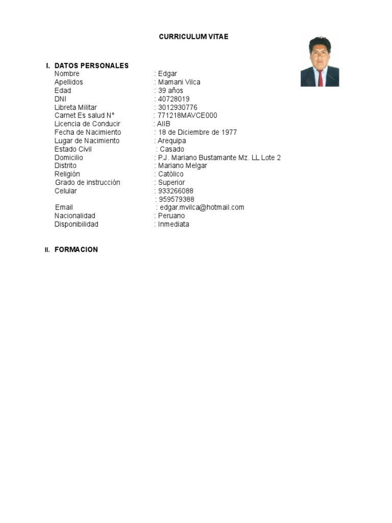 Curriculum Actualizado Edgar Mamani Vilca | PDF | Minería | Science