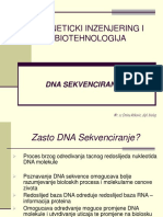 DNA Mutations Lab Answer Key | PDF | Genetic Code | Point Mutation