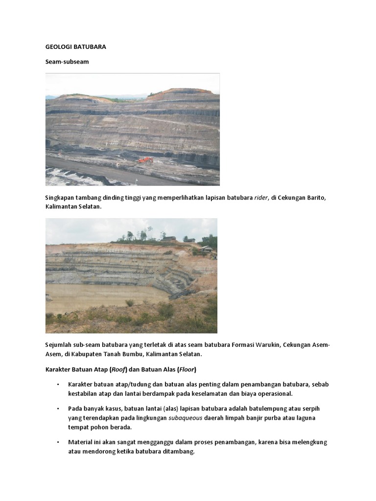 Struktur Sedimen dan Geometri Lapisan Batubara | PDF