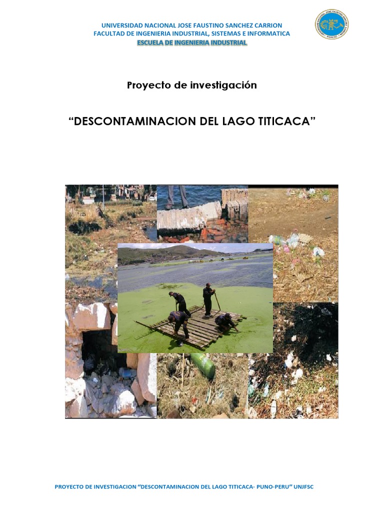 Proyecto Lago Titicaca - Docx Terminado | PDF | La contaminación del ...