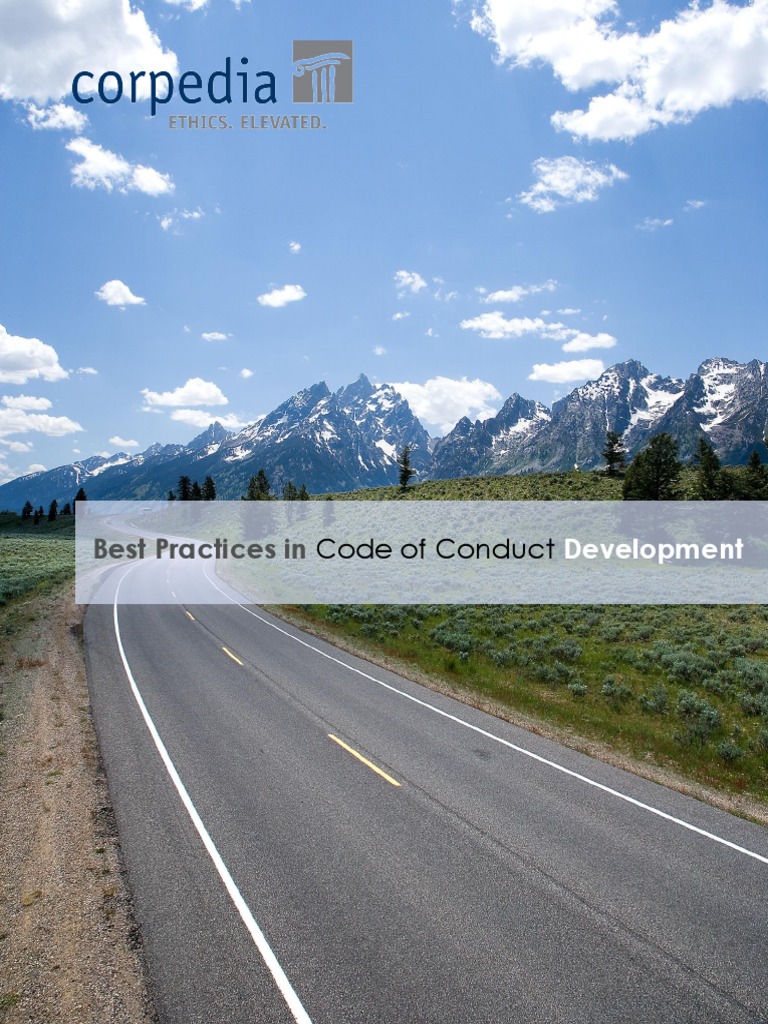 Code of Conduct Development Best Practices | PDF | Stakeholder ...