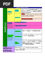 Esquema Estatuto Marco | PDF | Jubilación | Castigos