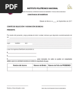 E5CINCO Formato Opcion 1 | PDF