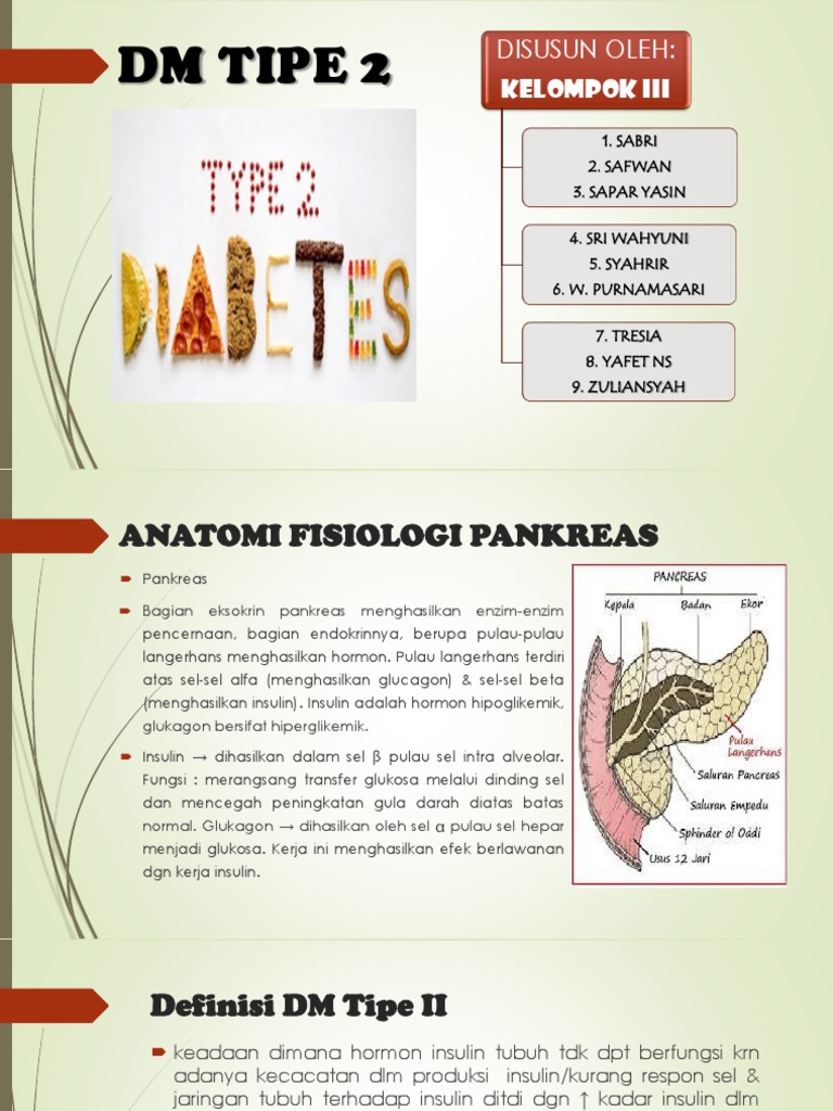 Panduan Lengkap DM Tipe II dan Pankreas | PDF