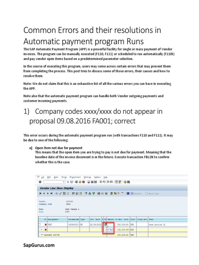 Common Errors in SAP Payment Runs | PDF | Payments | Invoice