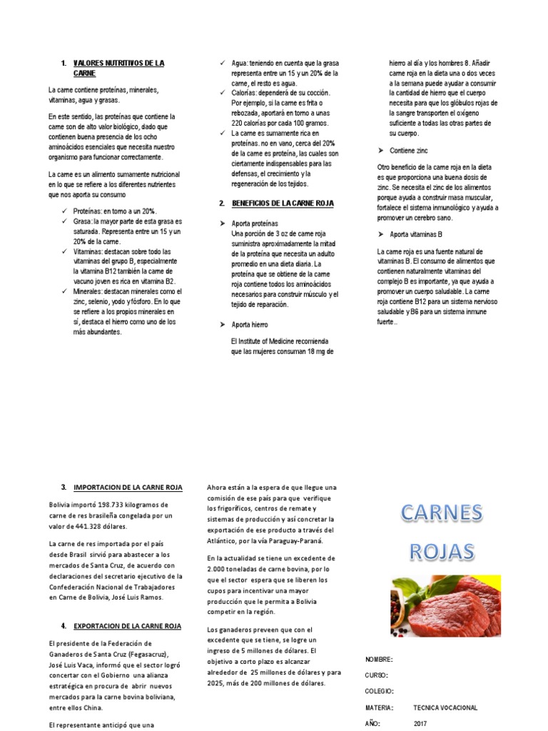 Triptico Carnes Rojas | PDF | Carne | Proteínas