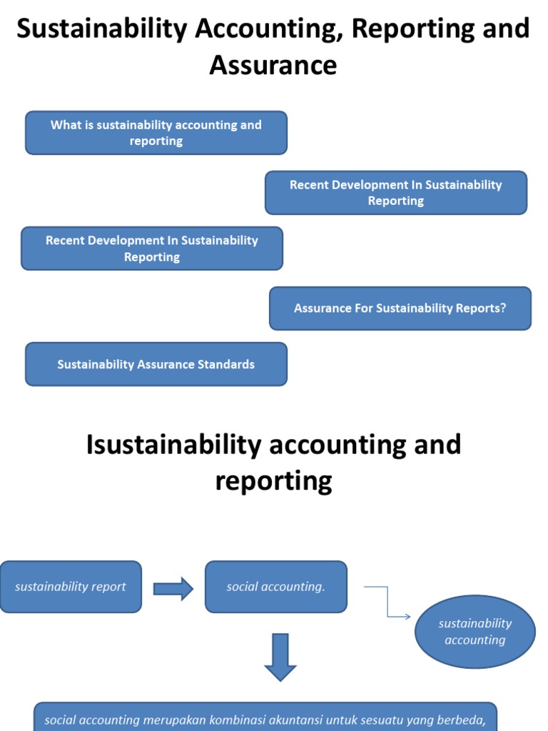 Sustainability Accounting, Reporting and Assurance | PDF