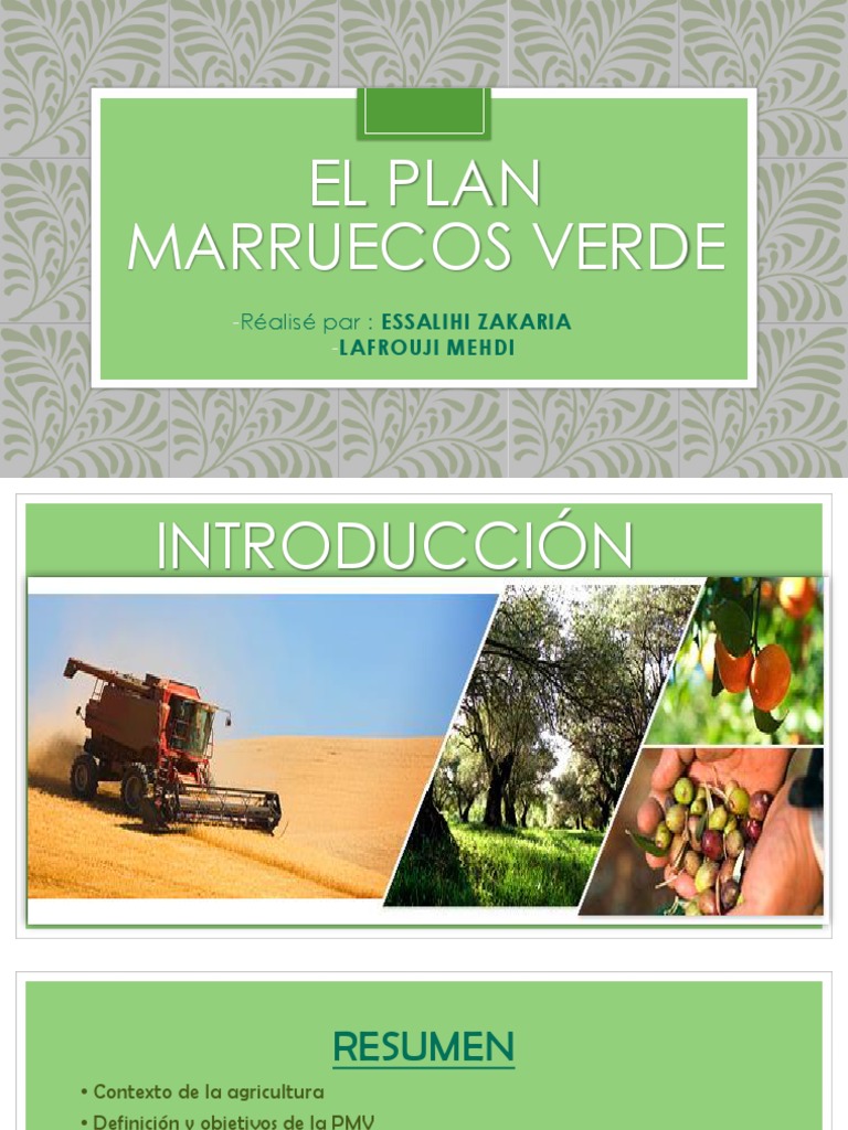 Plan Maroc Vert | PDF | Marruecos | Agricultura