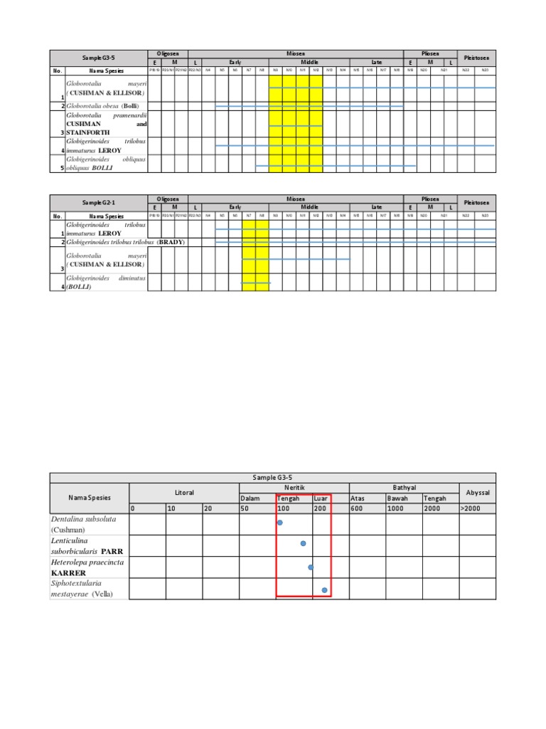 Foraminifera Species and Stratigraphy Data | PDF