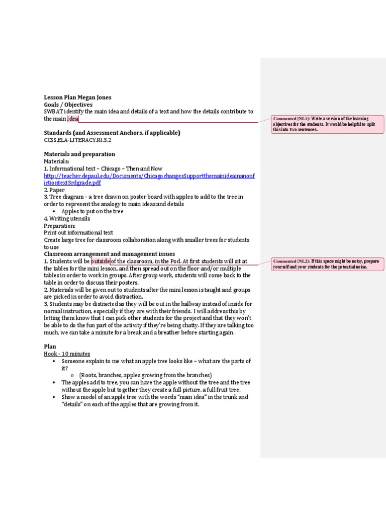 Jones Megan Lesson Plan Comments | PDF | Educational Assessment | Classroom