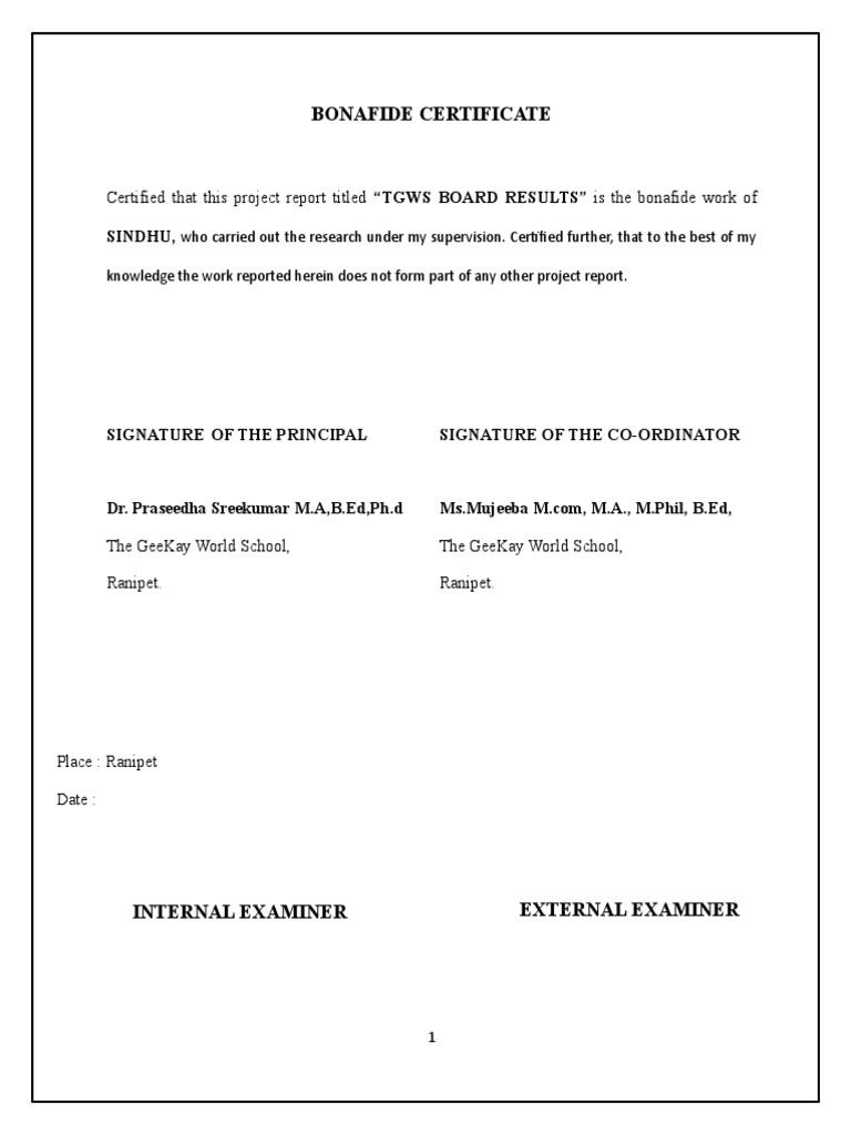 Sindhu - For Merge | PDF | Computer Data | Data Management Software