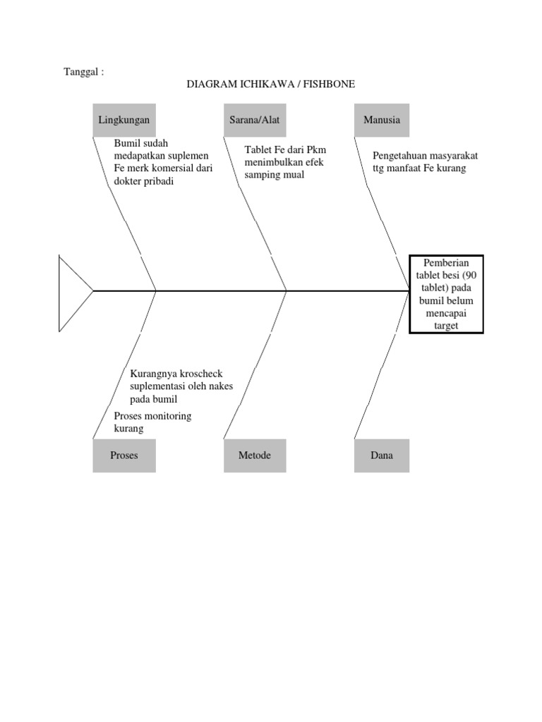 Fishbone Fe Gizi | PDF