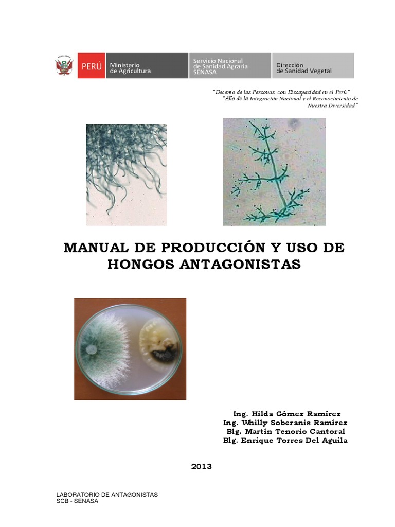 Control Biologico II | PDF | Hongo | Las bacterias