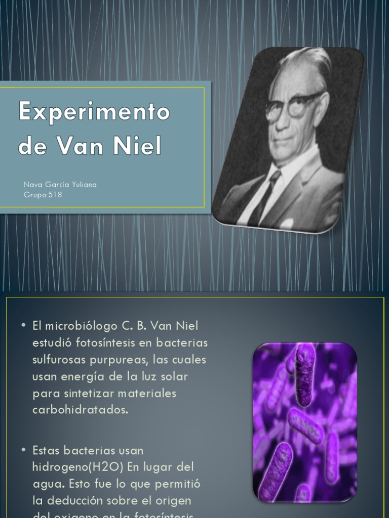 Experimento de Van Niel | PDF | Fotosíntesis | Oxígeno
