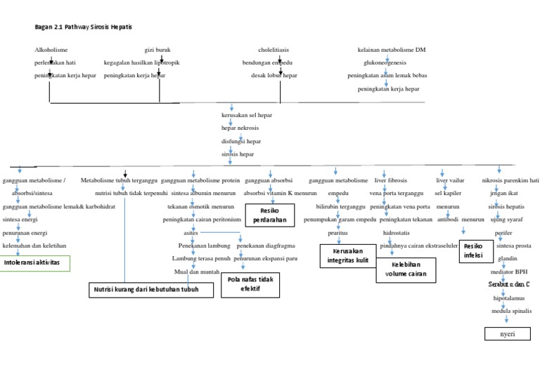 Bagan Pathway Sirosis Hepatis | PDF