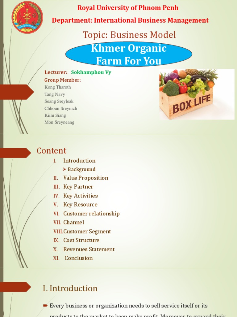 Business Model - Group 1 | PDF | Cambodia | Revenue