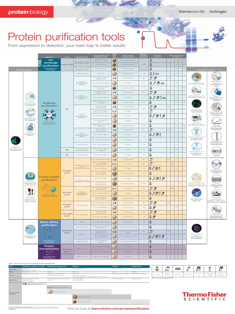 Protein Purification Poster Pro | PDF | Ion Exchange | Ion