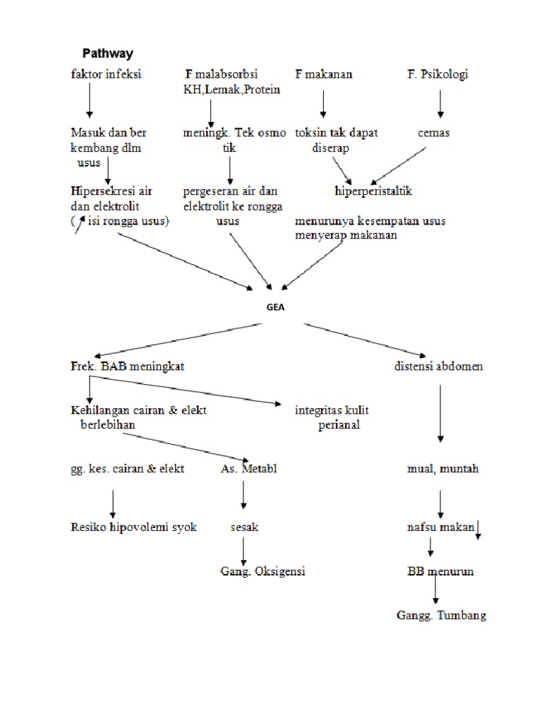 Pathway GEA | PDF
