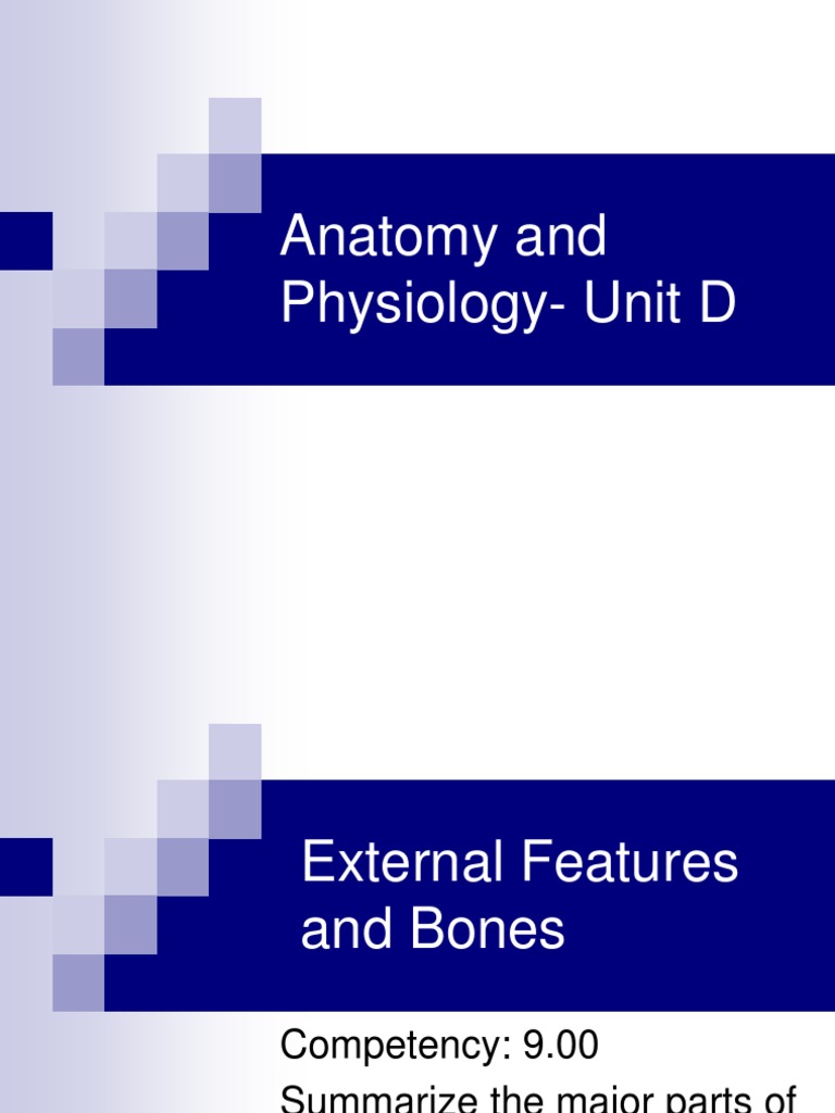 Small Animal Anatomy and Nutrition Guide | PDF | Digestion | Animal Feed