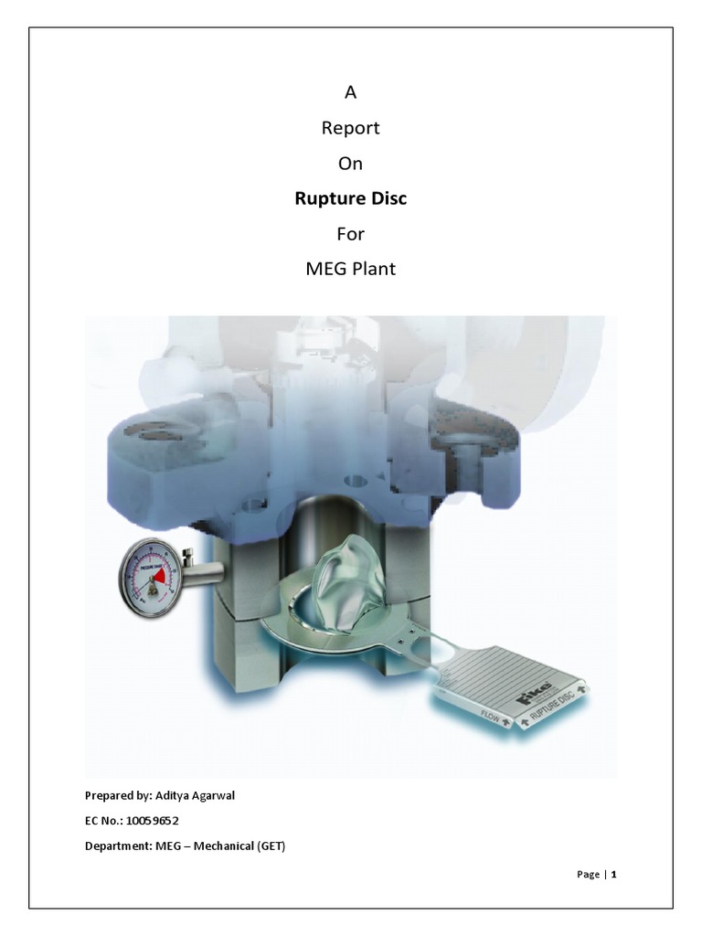 Rupture Disc | PDF | Energy Technology | Building Engineering