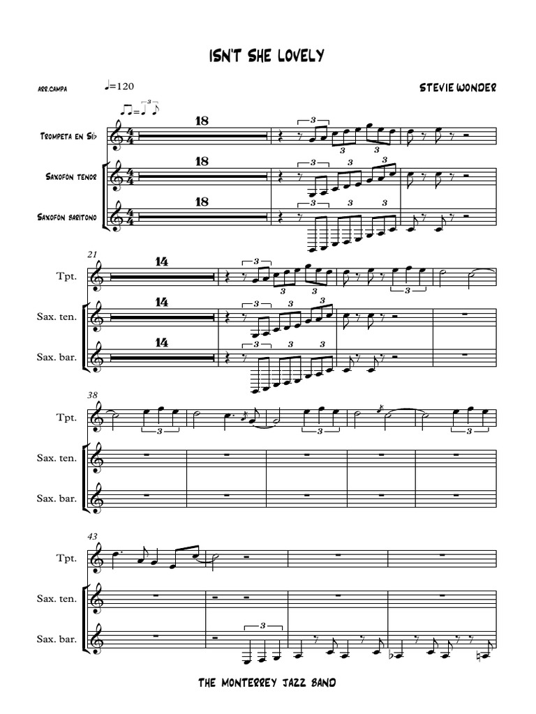 Isnt She Lovely Partitura Completa Pdf