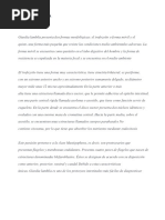 Signo de Rove | PDF