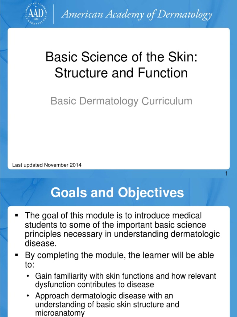 AAD Basic Skin | PDF | Epidermis | Cutaneous Conditions