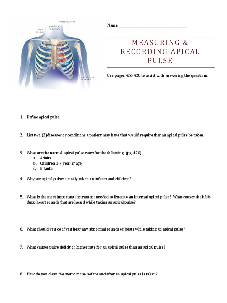 Apical Pulse WS | PDF | Pulse | Cardiovascular System