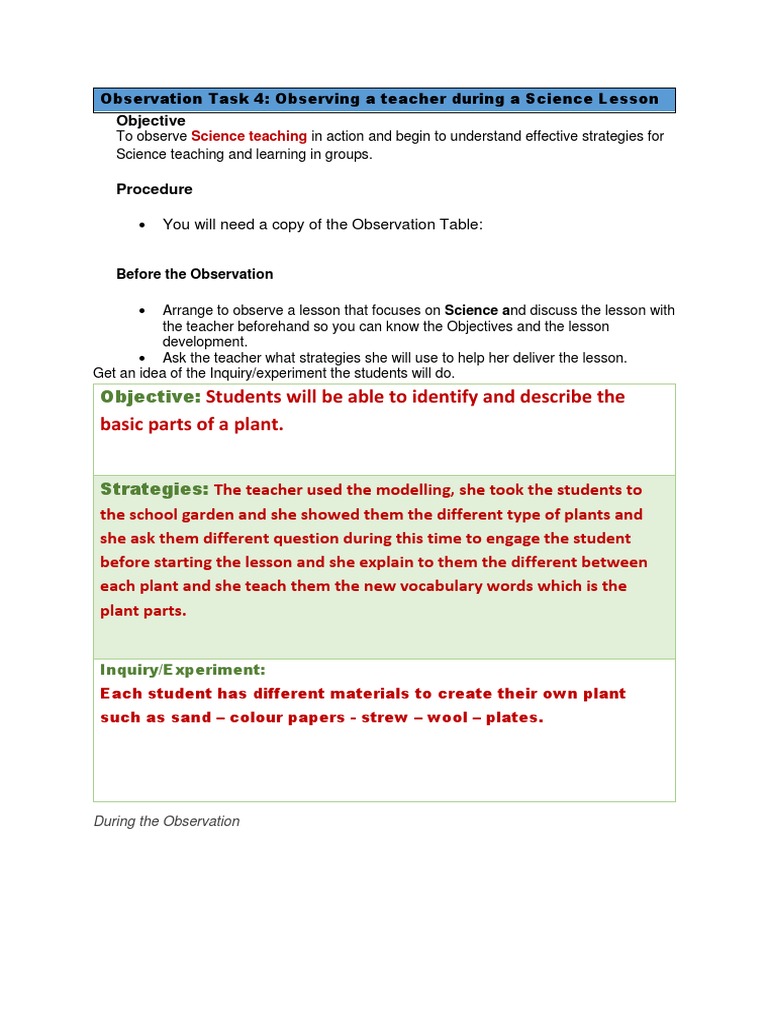 Observation Task 4 | PDF | Career & Growth | Language Arts & Discipline