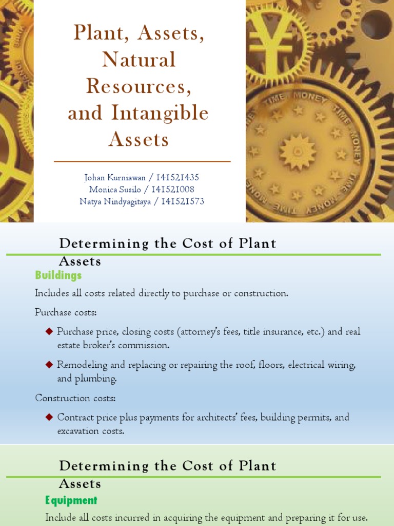 Plant, Assets, Natural Resources and Intangible Assets | PDF ...