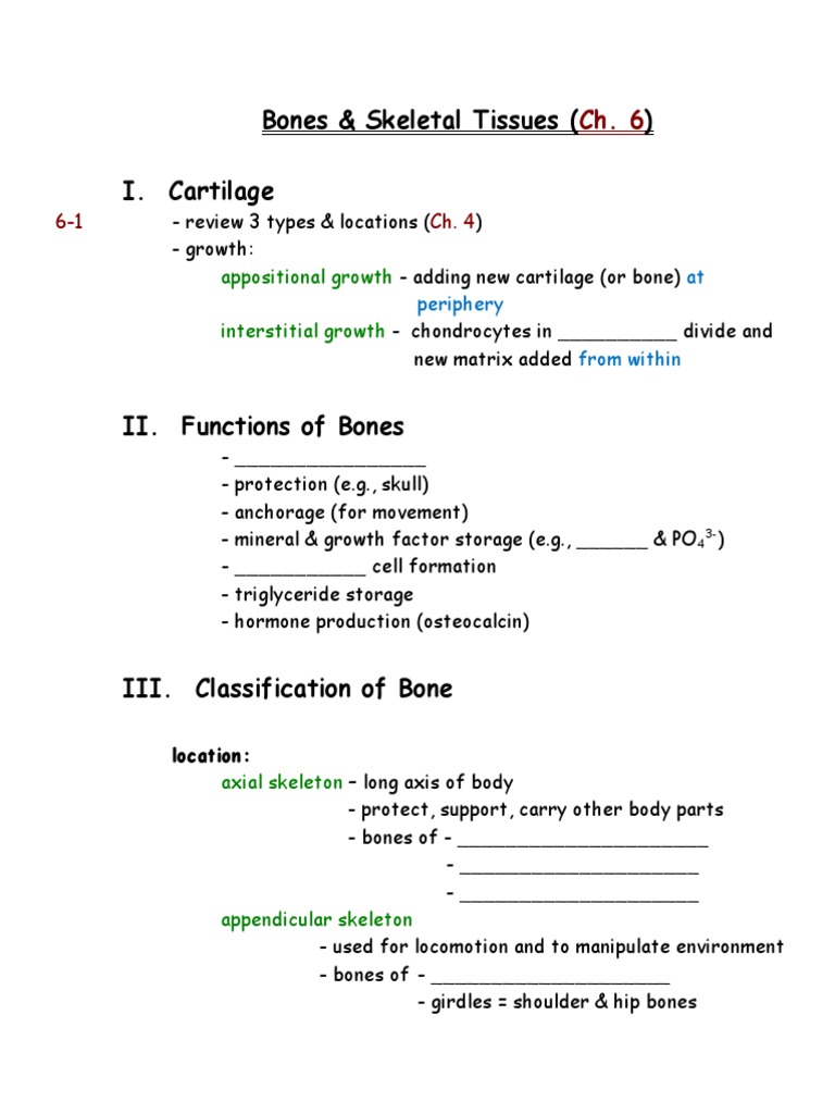 Bones & Skeletal Tissues I. Cartilage: Appositional Growth Interstitial ...