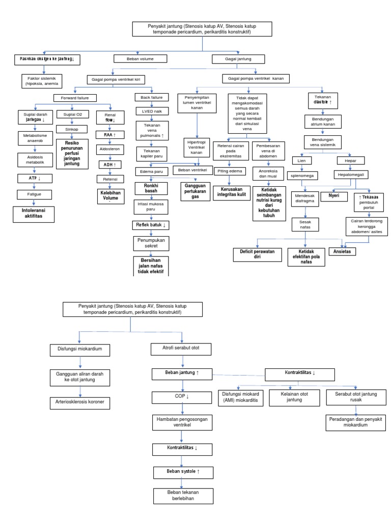 Pathway CHF | PDF