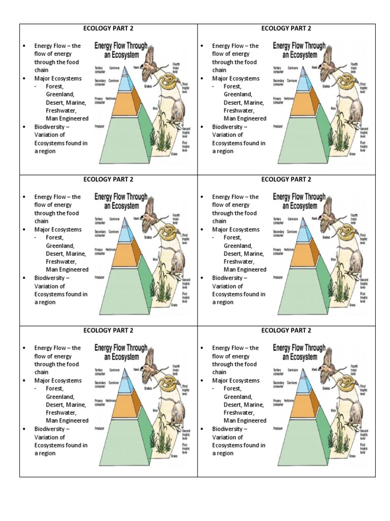 Ecology Part 2 Mini-Handouts | PDF | Ecology | Biodiversity