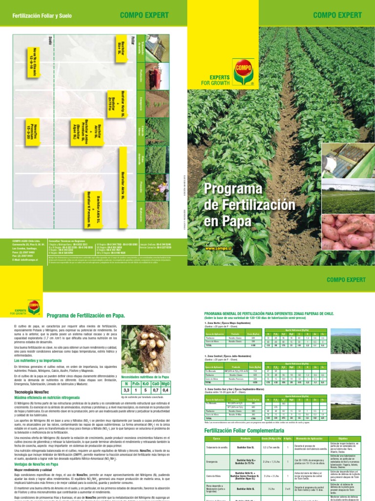 Programa COMPO Papas PDF | Descargar gratis PDF | Fertilizante | Patata