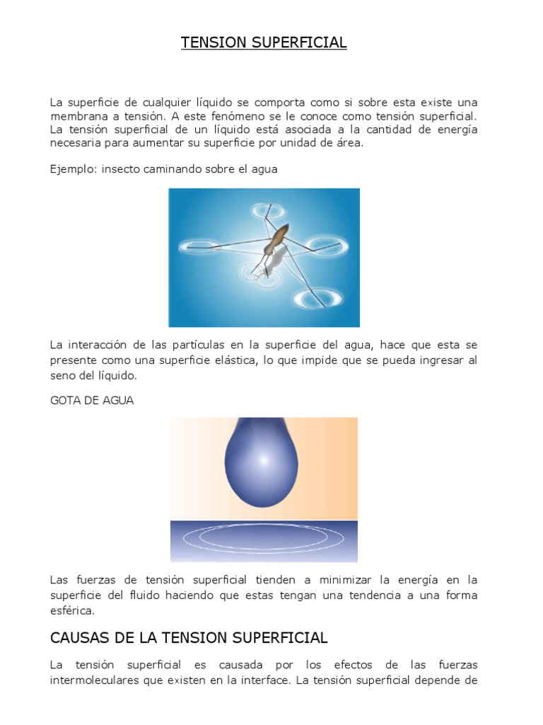 TENSION SUPERFICIAL Capilaridad y Viscosidad | PDF | Tensión superficial | Líquidos