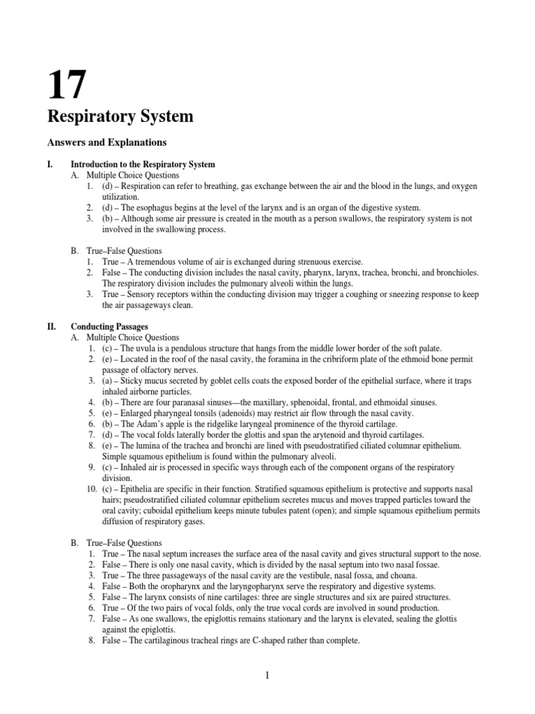 Respiratory System: Answers and Explanations | PDF | Respiratory Tract ...