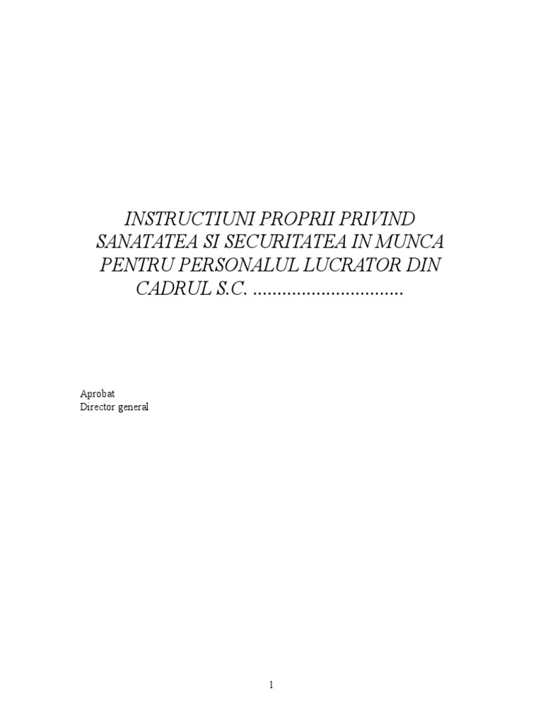 Instructiuni SSM | PDF