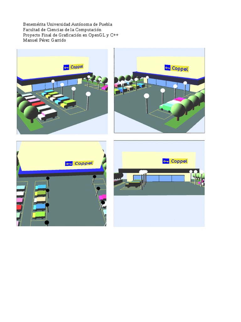 Proyecto Coppel | PDF | Computing Platforms | Computer Related Introductions