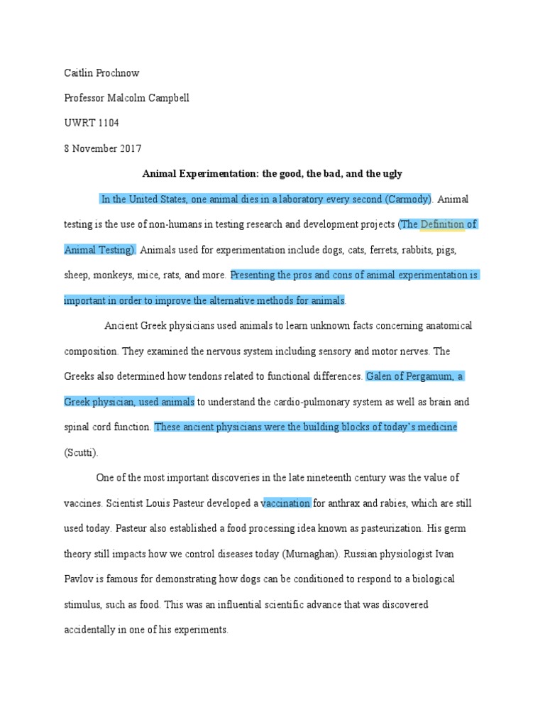 Annotated-Animal 20experimentation 20first 20draft Docx-2 | PDF ...